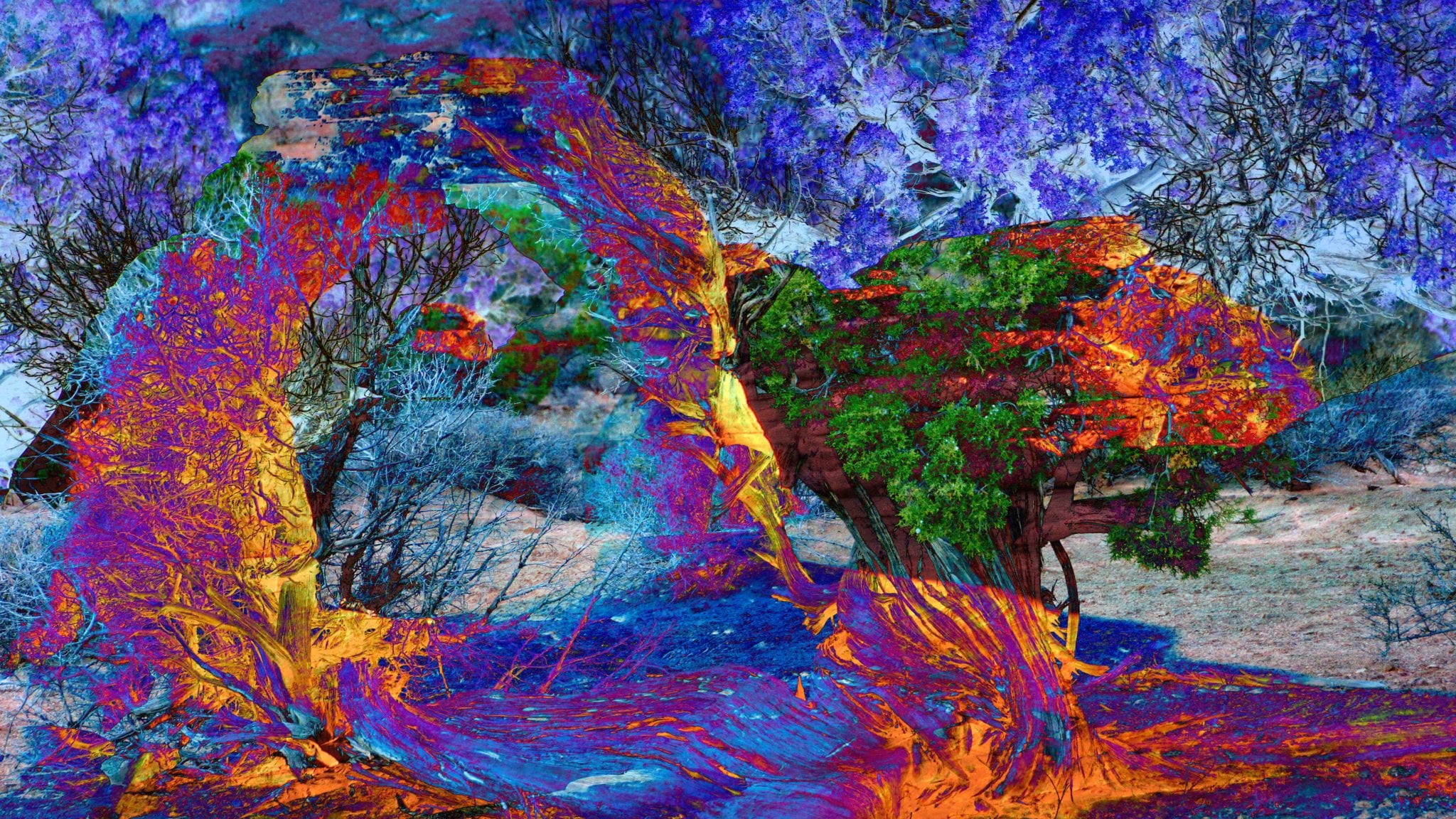 Tree Trunk and Arch | Sophia von Wrangell